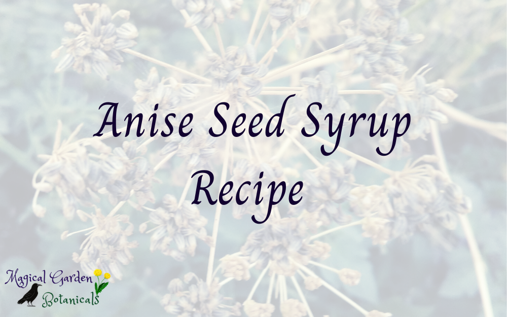 Anise Seed Syrup
