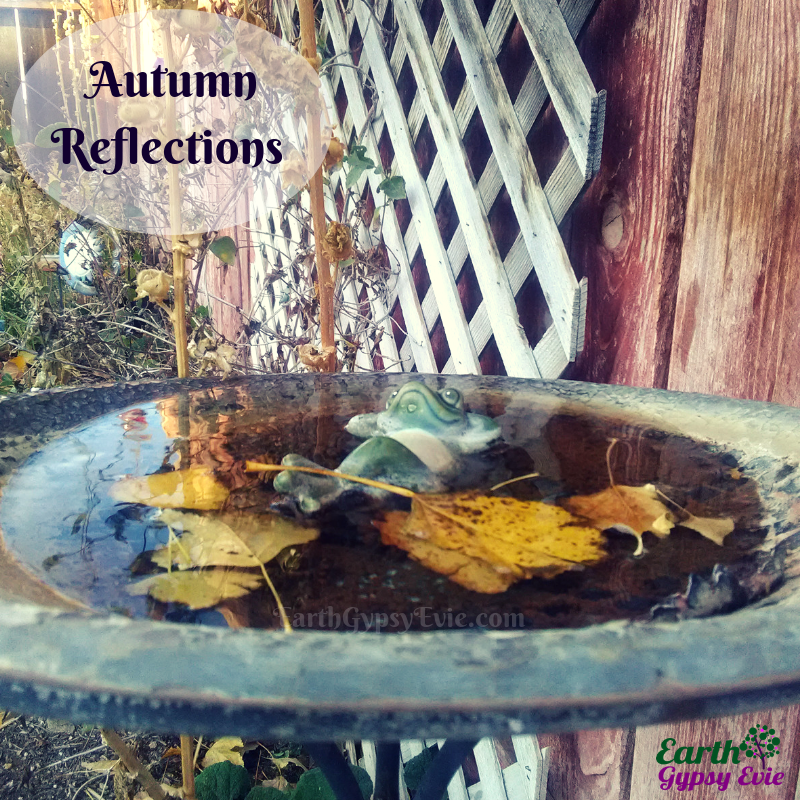 Autumn Reflections